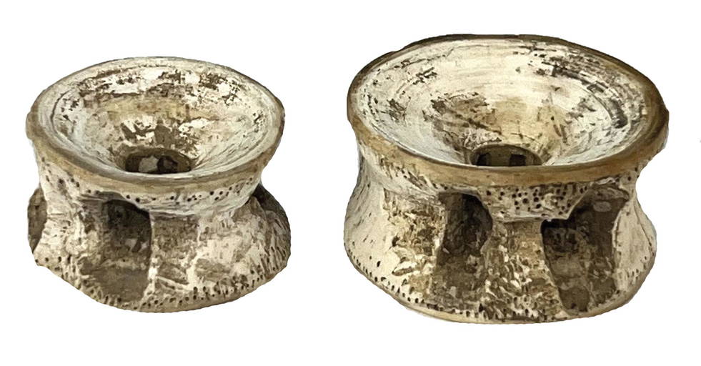 Two Shell Earspools From Spiro Mound, Leflore Co, Ok. 1" And 1 1/4". Ex ...