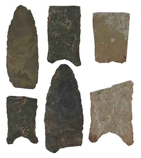Six Paleo Bases (4) Bottoms And (2) Tops. Kentucky. Nice Examples.