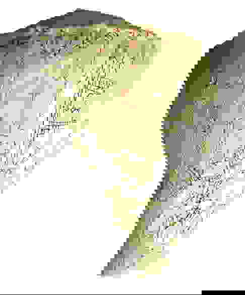 8 1/8" Engraved Conch Shell From Spiro Mounds. Well Pictured In Ww#12 ...