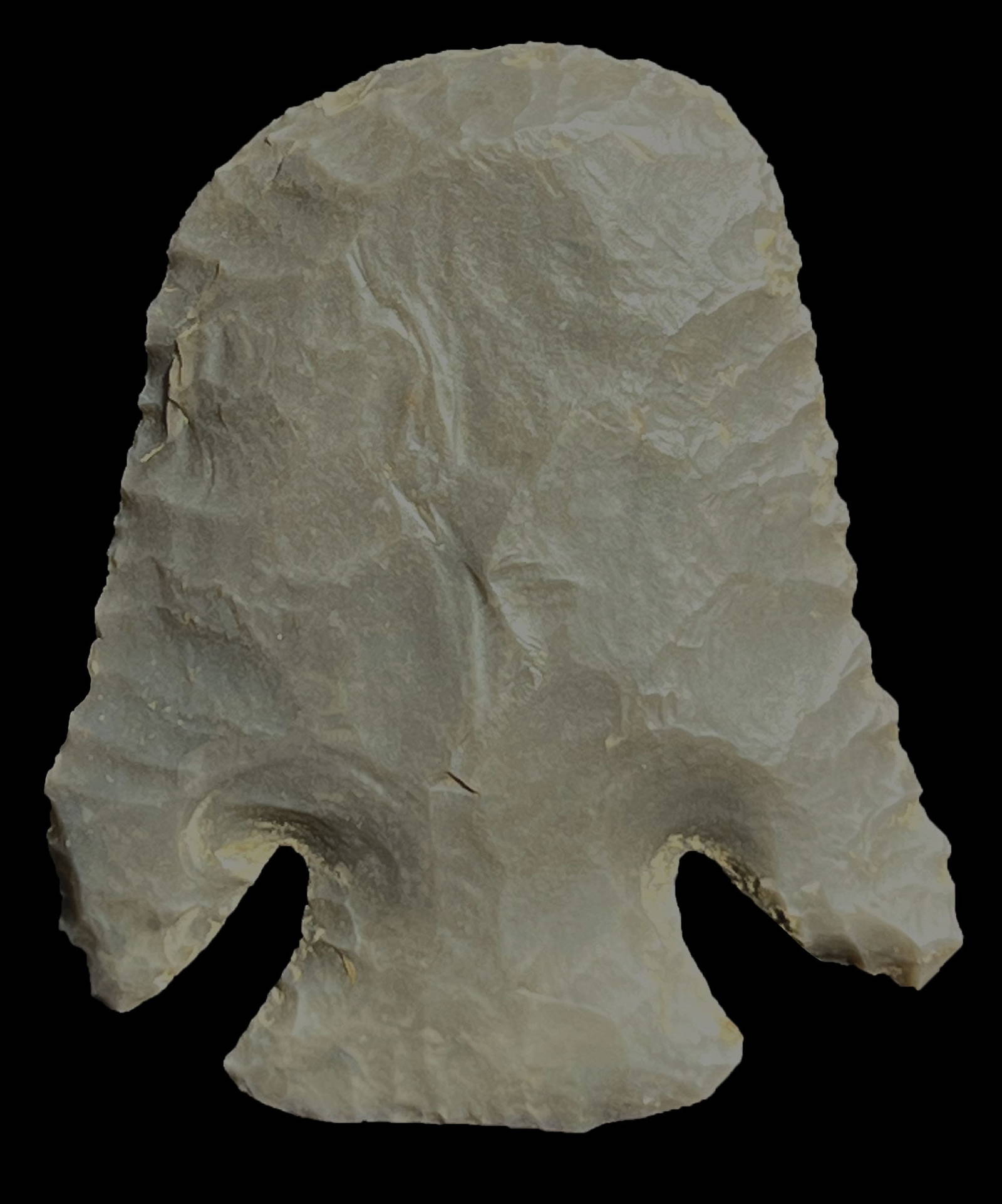 2 1/4" Lost Lake Blunty. Grayson Co, Ky (peter Star Farm). Ex-dale ...