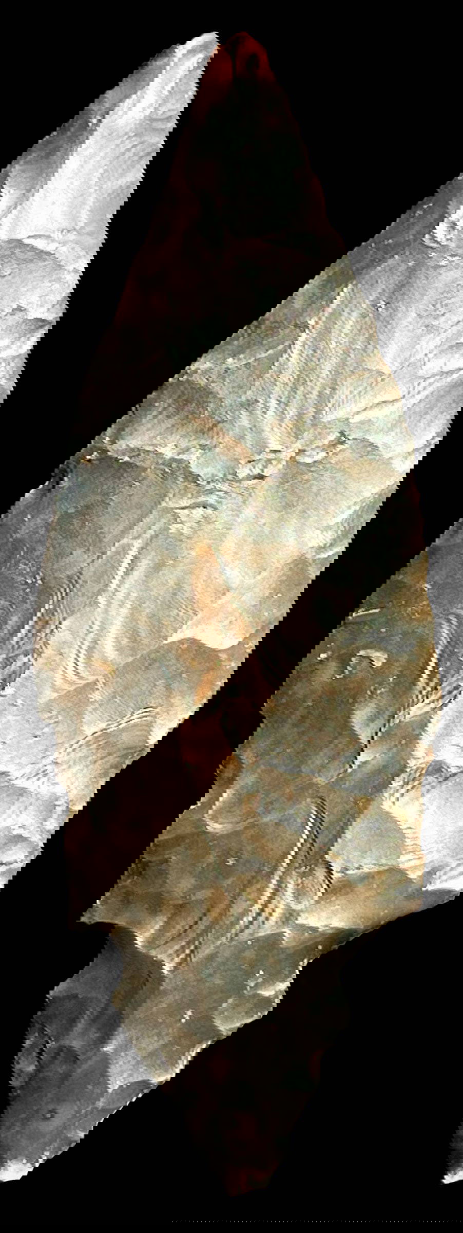 3 11/16" Fulton Turkeytail. Grayson Co, Ky. Sonora. Very Thin. Ex-dale ...