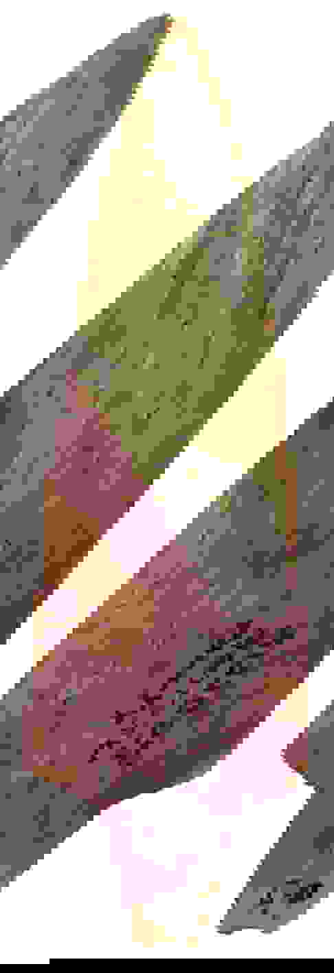 6 3/8" Dickson. Moniteau Co, Mo. Ex Jerry Edwards And Dean Mesnard Auction