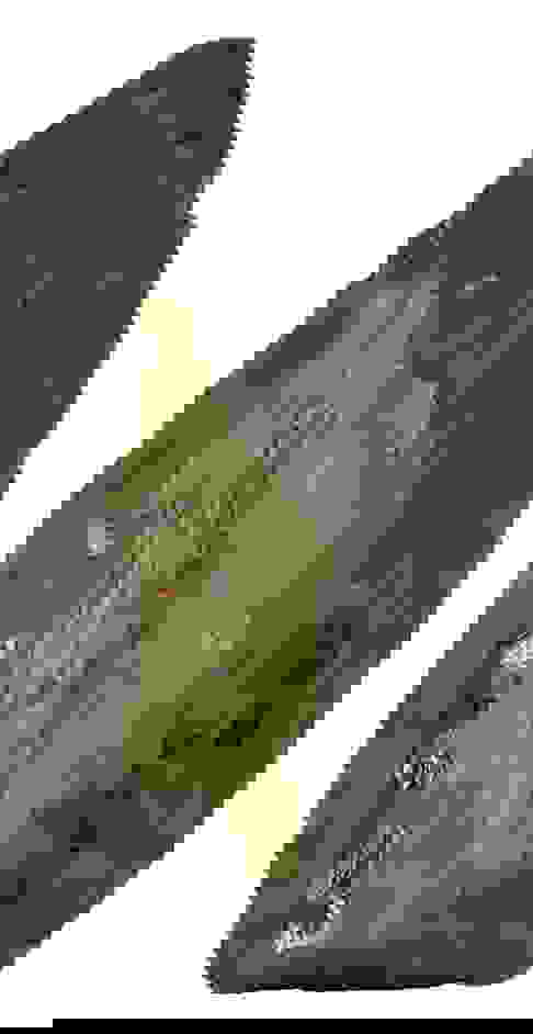 4 1/2" Crib Mound Blade. Hornstone. Signed By Art Gerber. Ex Tom ...