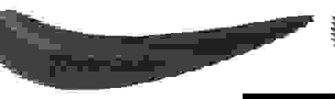 6" Curved Pick Bannerstone. Lorain Co, Oh. Ex Col. Raymond Vietzen. Auction