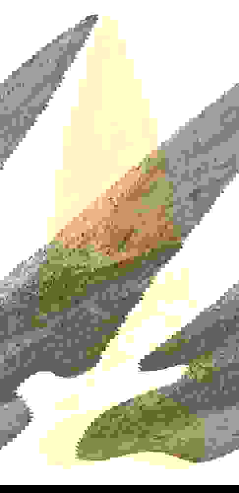 4 3/16" Thebes Point. Beautiful Avon Chert. Warren County, Il., Near ...