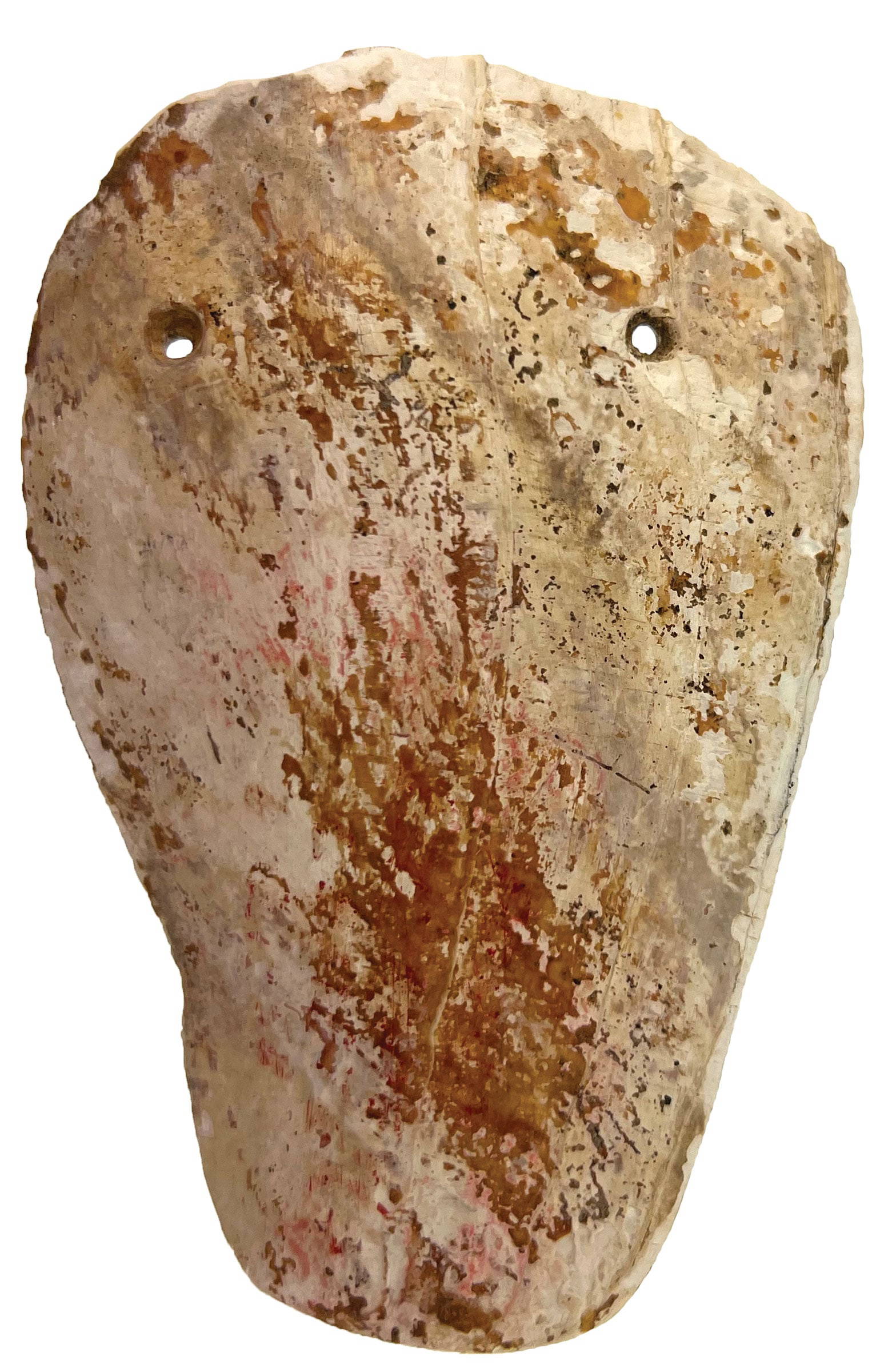 4 3/8” Carved Shell Gorget. Recovered By David Mann On 6-21-1958. Auction