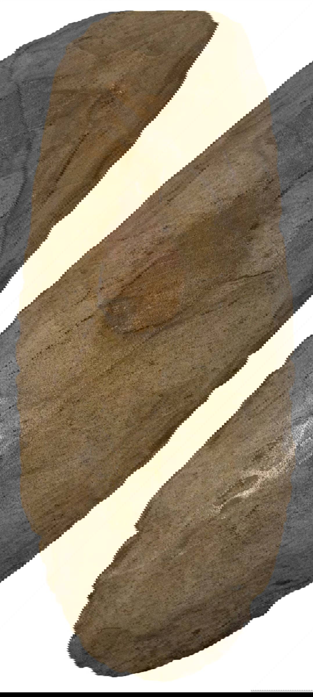 9 3/8" Flint Spade. Bit Is Nicely Polished. Recovered In 1962. Cape ...