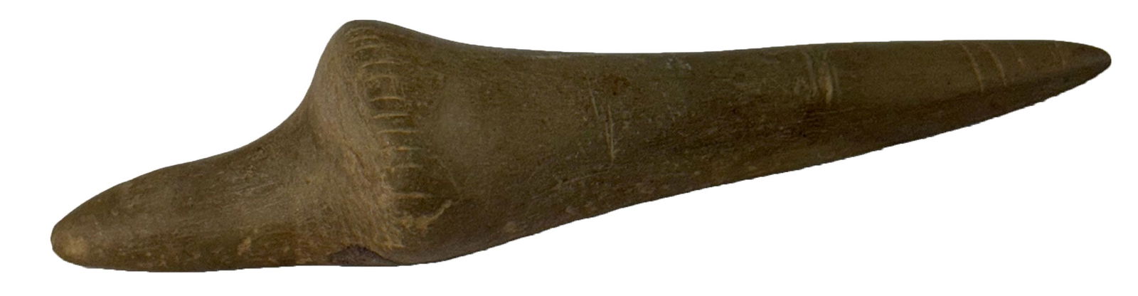 5 1/4" Greenstone Carved Lizard Effigy. Recovered In Hamblen County ...