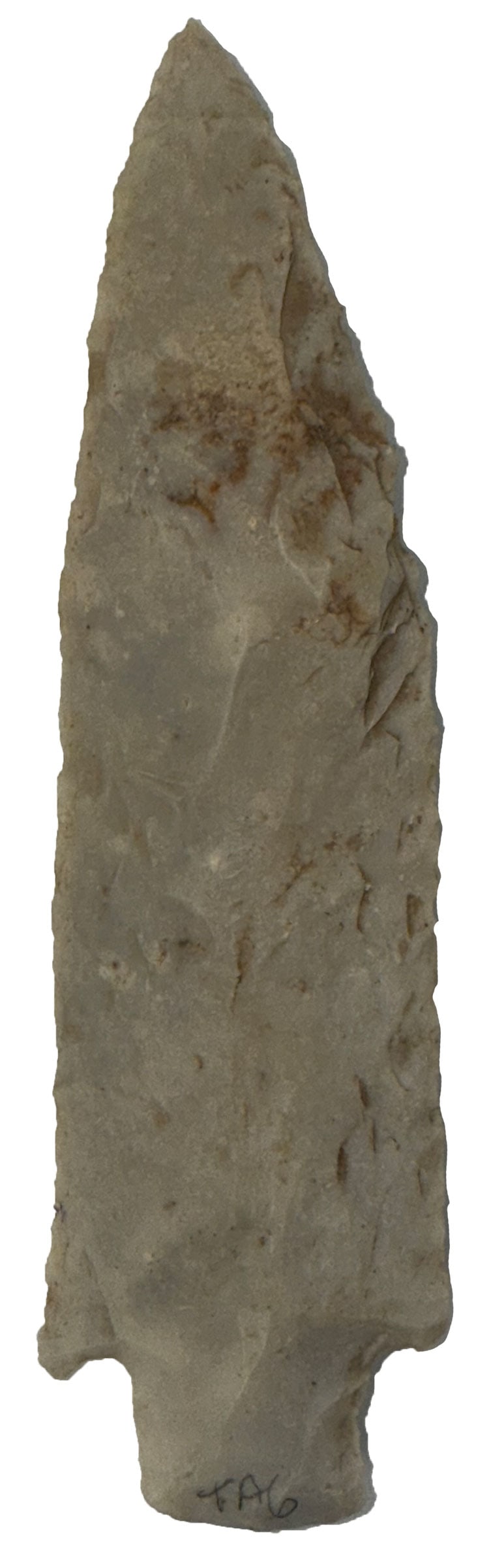 5 1/4" Etley. Mozarkite Chert. Boone County, Mo. Ex Terry Allen. Motley ...