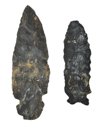 2 Large Ohio Points Pictured In Chapa Ii (ballinger).