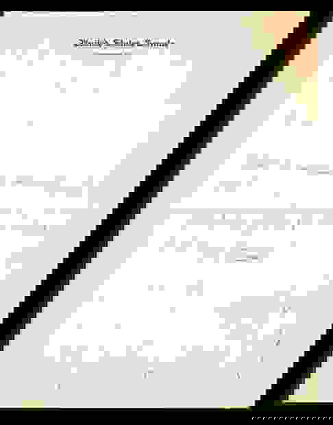 John F Kennedy Senate Letterhead Pencil Doodle Auction