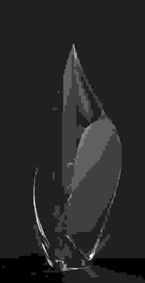 Christopher Ries (b. 1952) "lotus" Glass Sculpture Auction