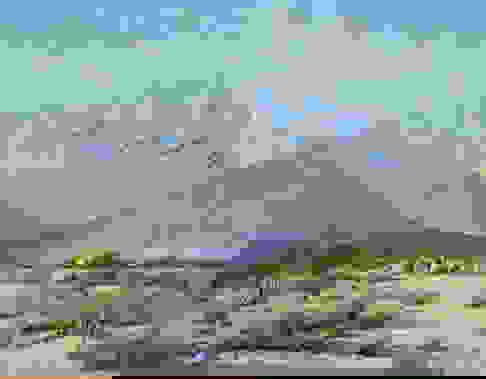 Victor C. Anderson (1882 - 1937) Auction