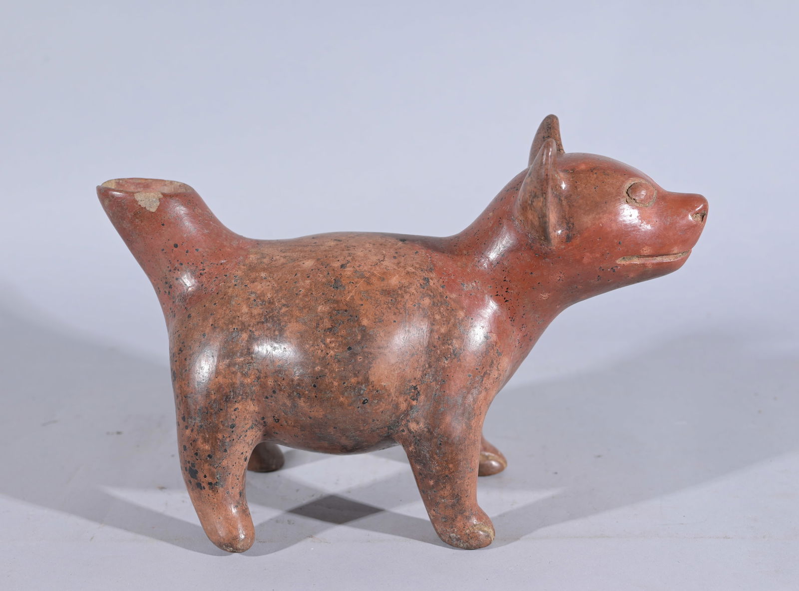 Pre-columbian Colima Standing Dog Auction