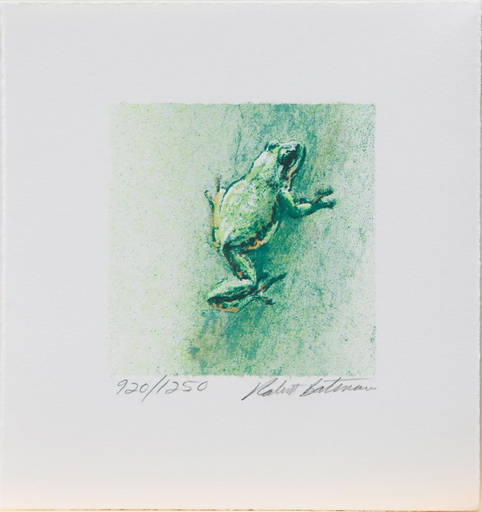 Robert Bateman's "Tree Frog" Limited Edition Original - Mar 09, 2019 ...