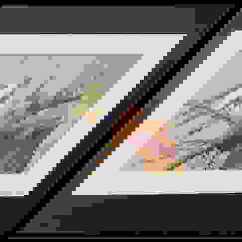 Glenn Olson's "scanning - Gyrfalcon" Limited Edition Print Auction