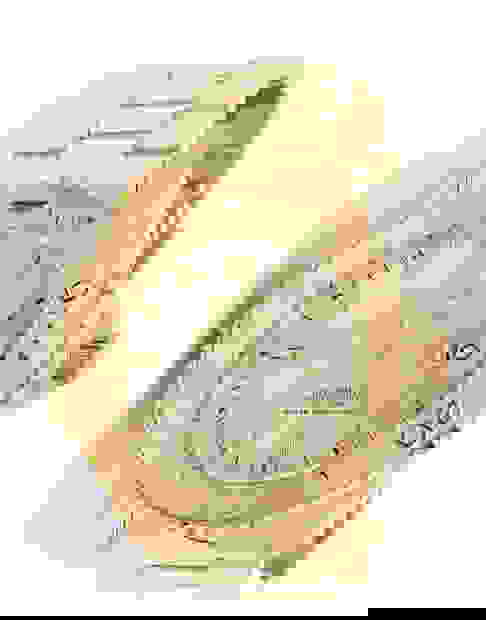 Buy Invicta Pro Diver Automatic 47mm Watch | Kamy Inc In Fl