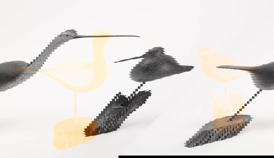 David B. Ward Two Shorebird Decoys