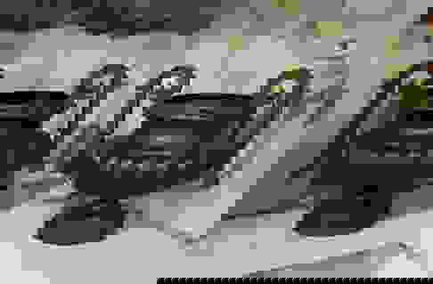 Rare Pair Of 19th C French Cast Iron Handled Urns By Faure A Revin Auction