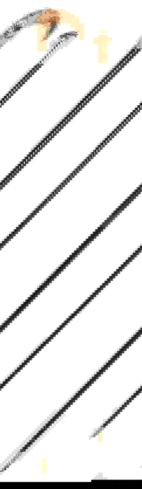 Two Walking Sticks Auction