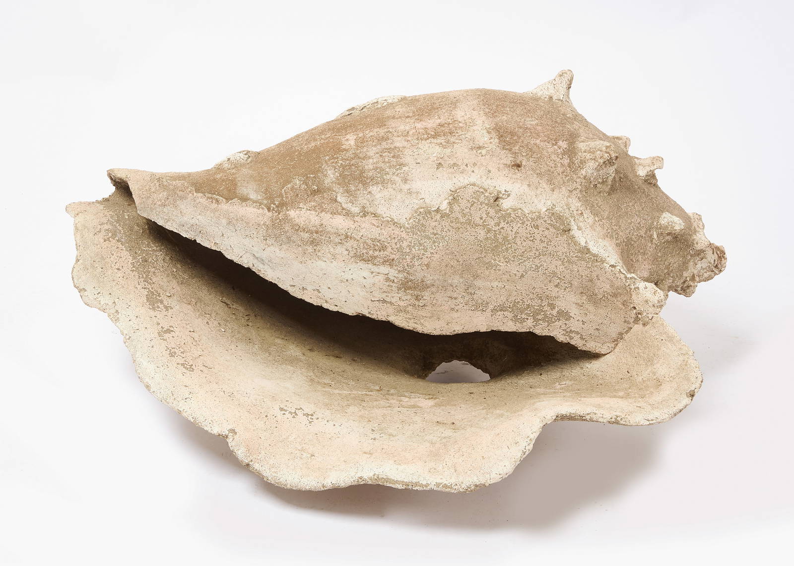 Oversized Conch Shell Garden Ornament Auction