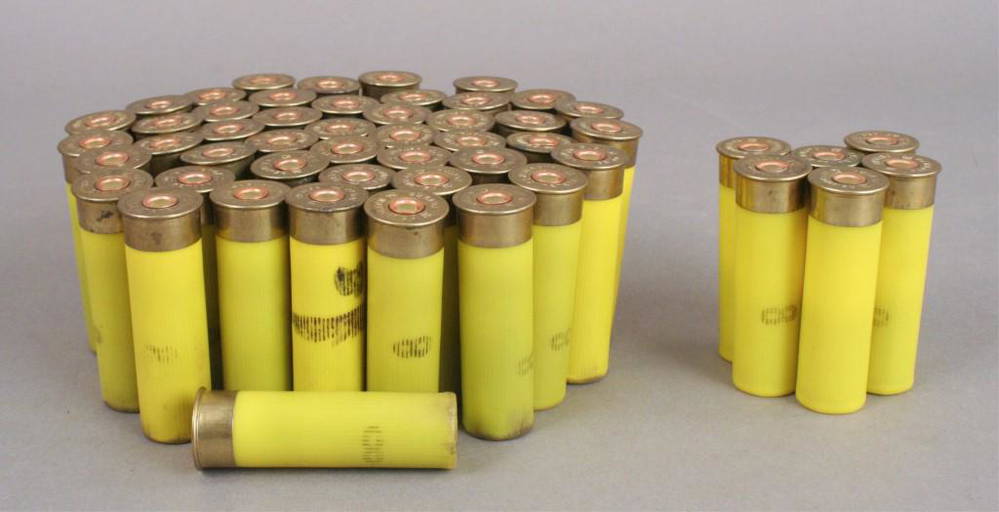 Remington .20 Ga Shotgun Shells