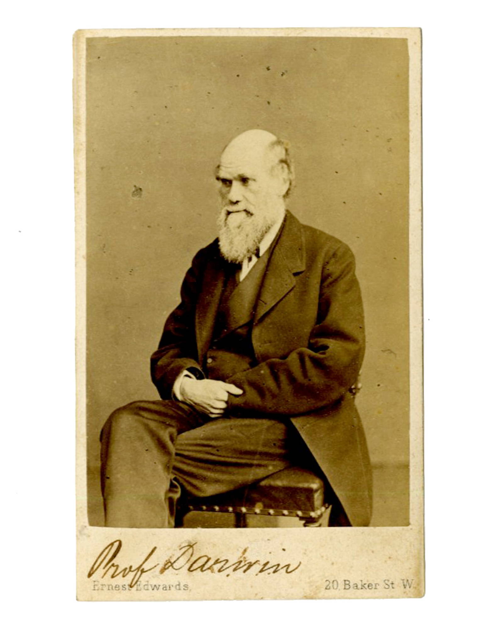 Charles Darwin Seated Cdv Captioned "prof Darwin" Auction