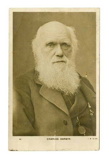 Charles Darwin Albumen Print Postcard, After One Of Last Known Photos