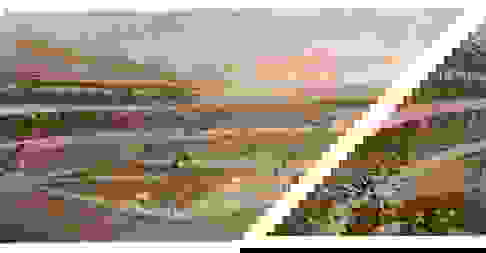 1894 Temple Cup Baseball Game! Rare Color Photogravure. Henry Sandham ...