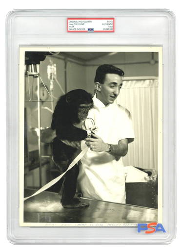 Ham The Astrochimp: Super Signed Nasa Photo, Psa/dna Encapsulated Type I