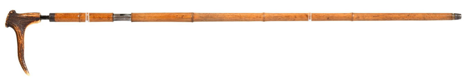 Cane Gun