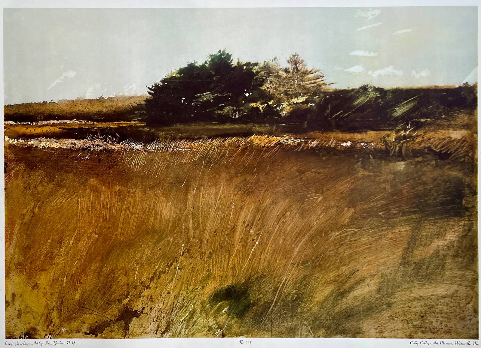 Salt Marshes Color Collotype Print By Andrew Wyeth Auction