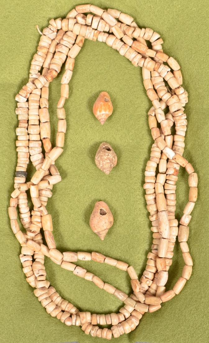 Collection of Ancient Native American Shell Bead