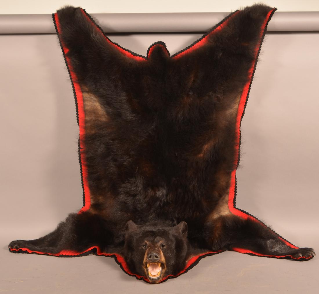 Taxidermy Trophy Black Bear Rug Mount.