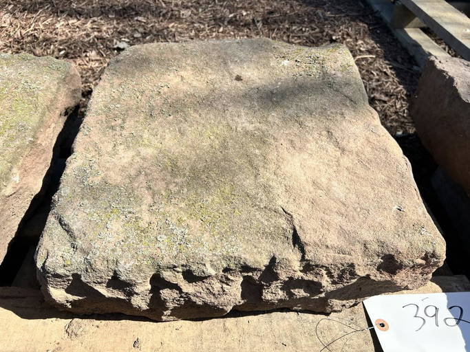 Red Sandstone Pathway Stone