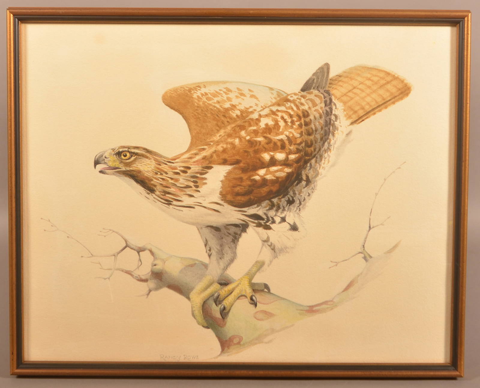 Randy Rowe Watercolor Red-tailed Hawk Painting. Auction