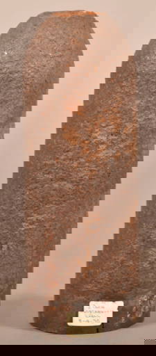 Recovered 3" Amsterdam Common Shell