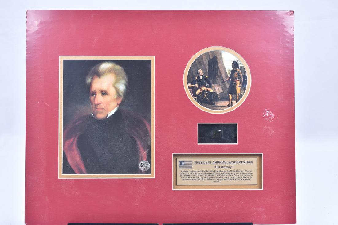 Andrew Jackson Hair with Paperwork in Mat - Feb 02, 2019 | Angry Mama's ...