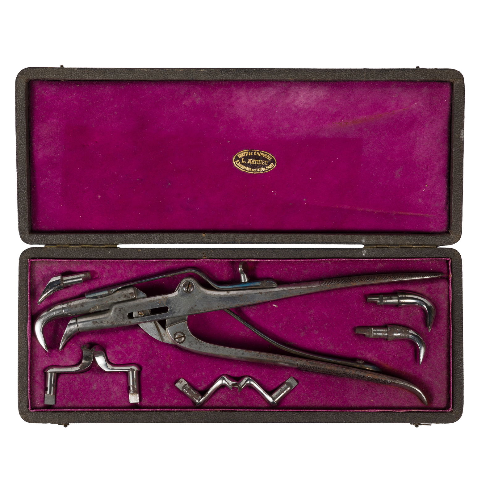 19th Century Dental Pelican Auction