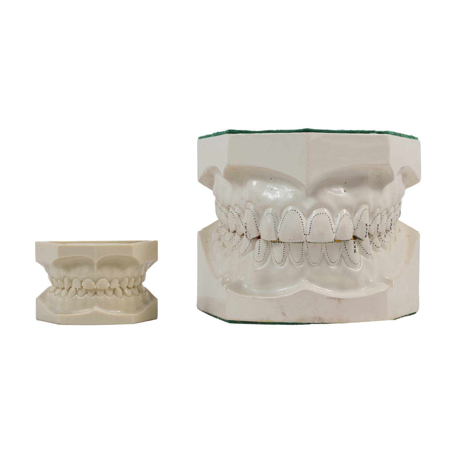 Two Vintage Dentoforms Auction