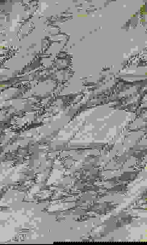 Albrecht Durer, The Witch Auction