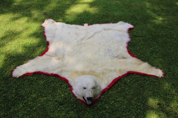 VINTAGE POLAR BEAR SKIN RUG