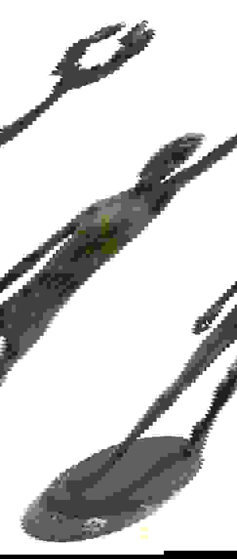 Heinrich Baucke (german, 1875-1915) "der Sieger" Bronze Sculpture Auction