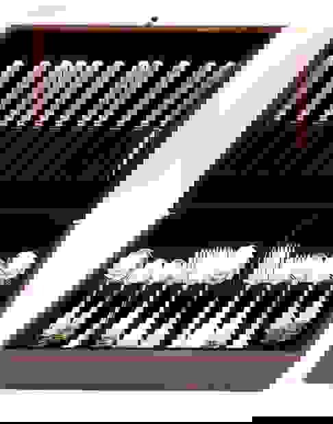 74 Pc. Tiffany & Co. "audubon" Sterling Silver Flatware Set Auction