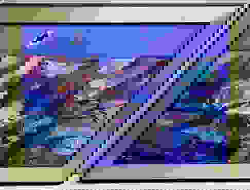 Large James Pinto Oil Painting On Canvas Auction