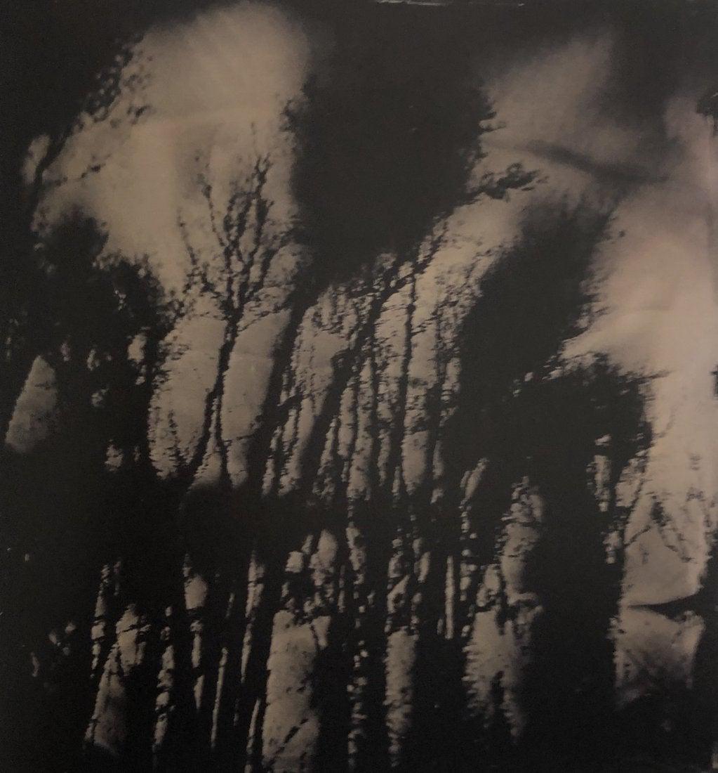 Jock Sturges- Tammy, Sheawn; Northern California, 1982 | Barnebys