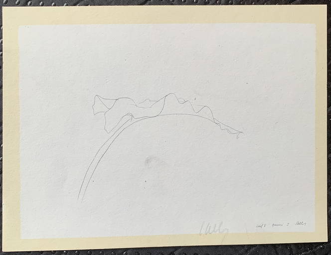 Ellsworth Kelly Print On Paper Pencil Signed