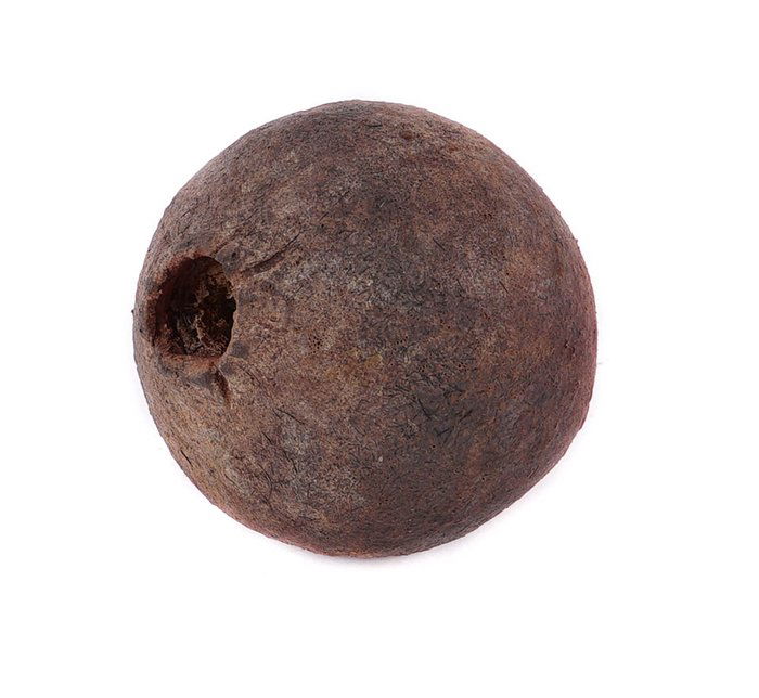 Alien: Covenant Viral Fungus Pod