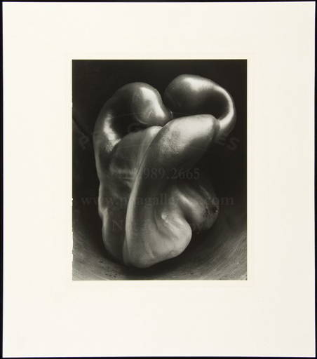 Edward Weston Pepper No. 30 Photograph