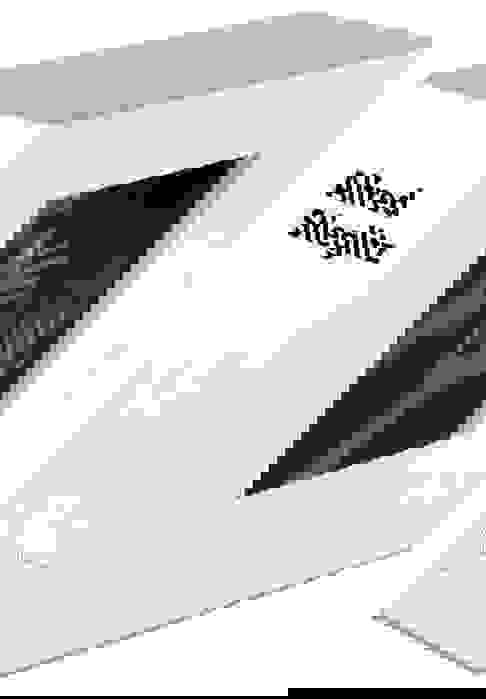 Alfred Stieglitz Collection Of Photographs 2 Vols. Auction